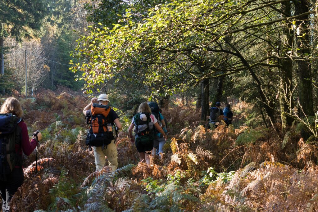 Wandelen voor beginners, Nivon helpt je op pad! - Drenthepad